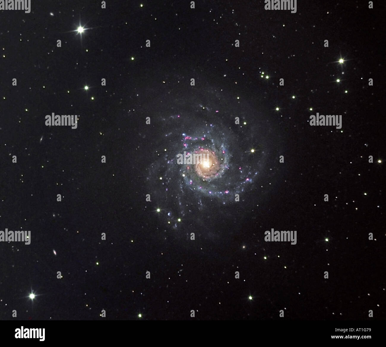 M74 Galaxy