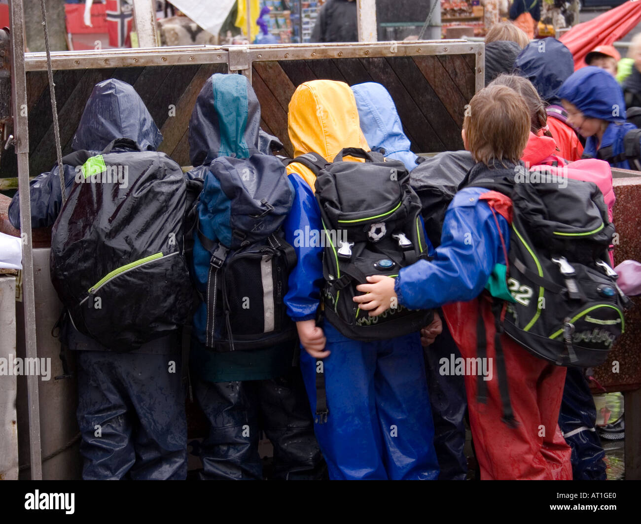 Children looking into fish tanks at Bergen fish market Stock Photo - Alamy