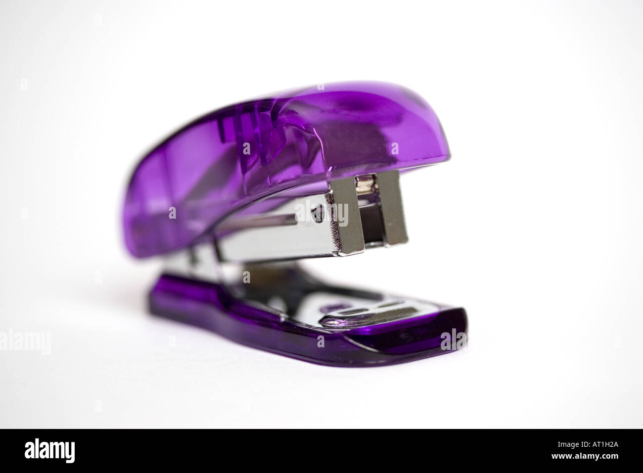 Purple stapler purple stapler hi-res stock photography and images - Alamy