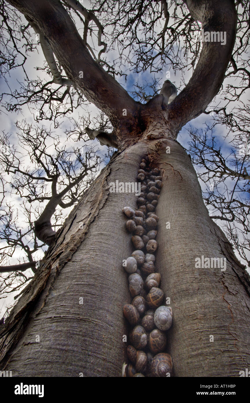 Hibernating hi-res stock photography and images - Alamy