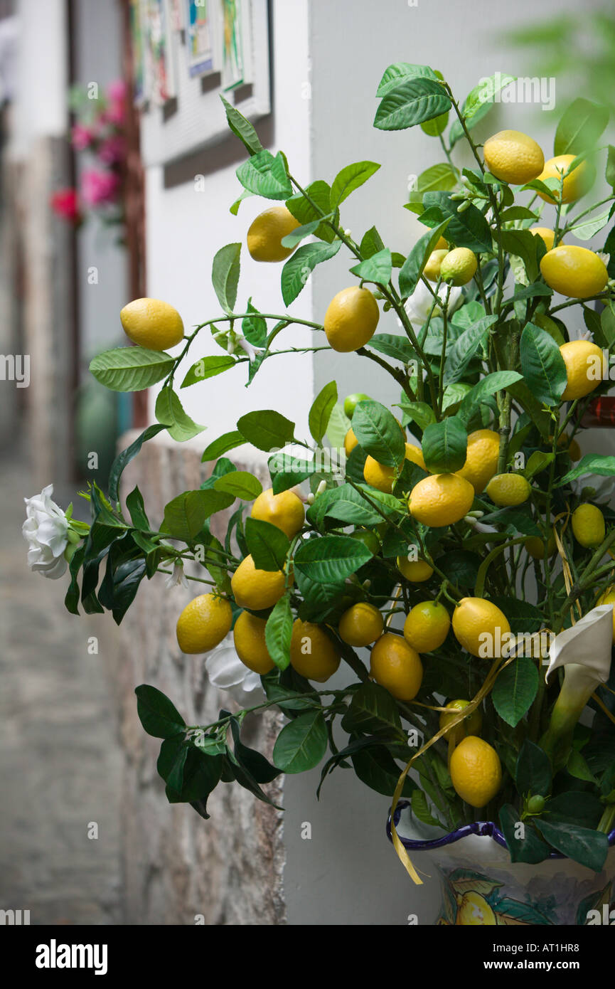 Europe, Italy, Campania (Amalfi Coast) POSITANO: Lemons Stock Photo - Alamy