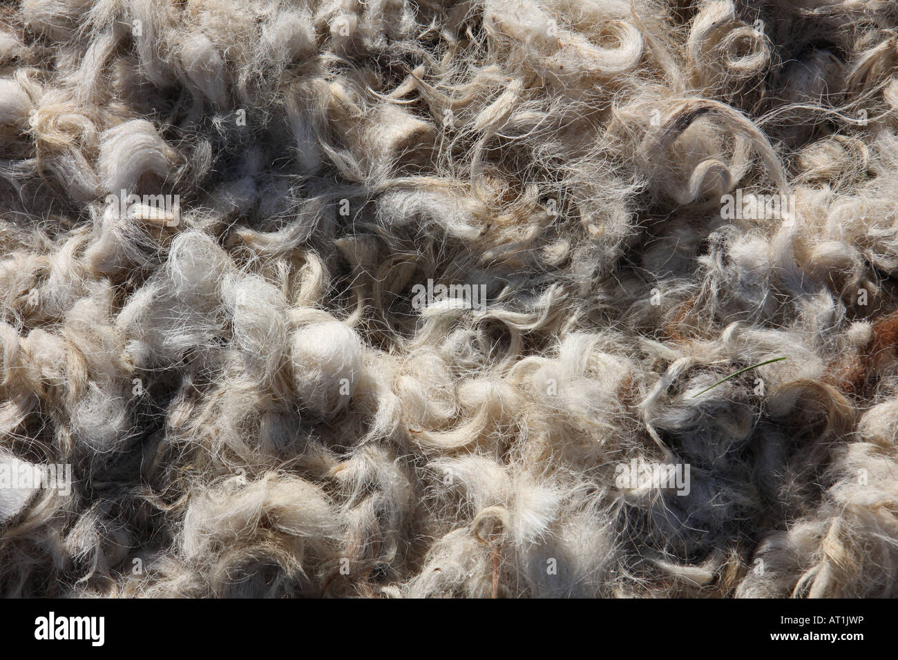 Wool trade hi-res stock photography and images - Alamy