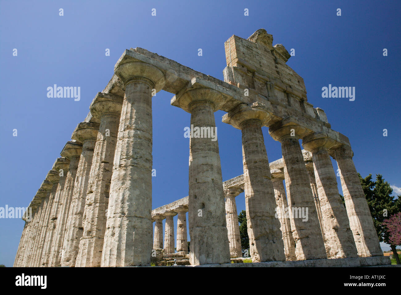 Europe, Italy, Campania, Paestum: Site of Ancient Greek Ruins, Tempio ...