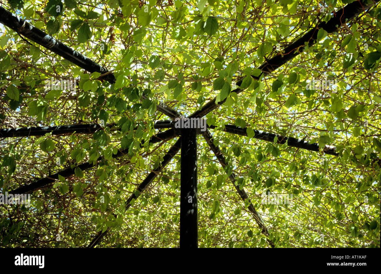 Vamos traditional village crete hi-res stock photography and images - Alamy