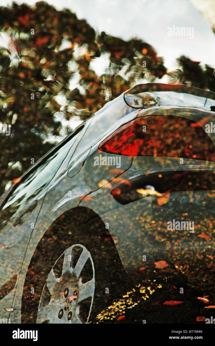 A white car reflected in a large puddle of water Stock Photo - Alamy