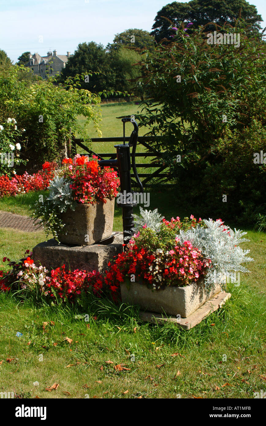 Flower tubs with a hedgerow and gated field beyond Thorpe Salvin ...
