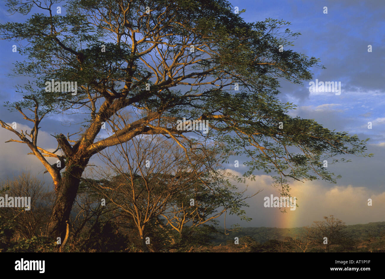 Rainbow at Rincón de la Vieja National Park Guanacaste Costa Rica Stock ...