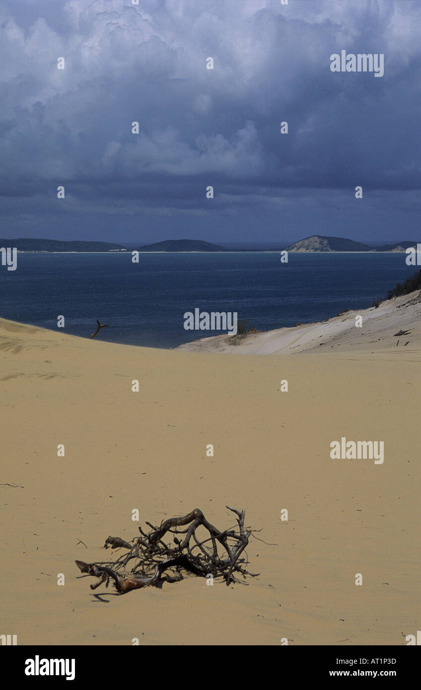 Cooloola national park hi-res stock photography and images - Alamy