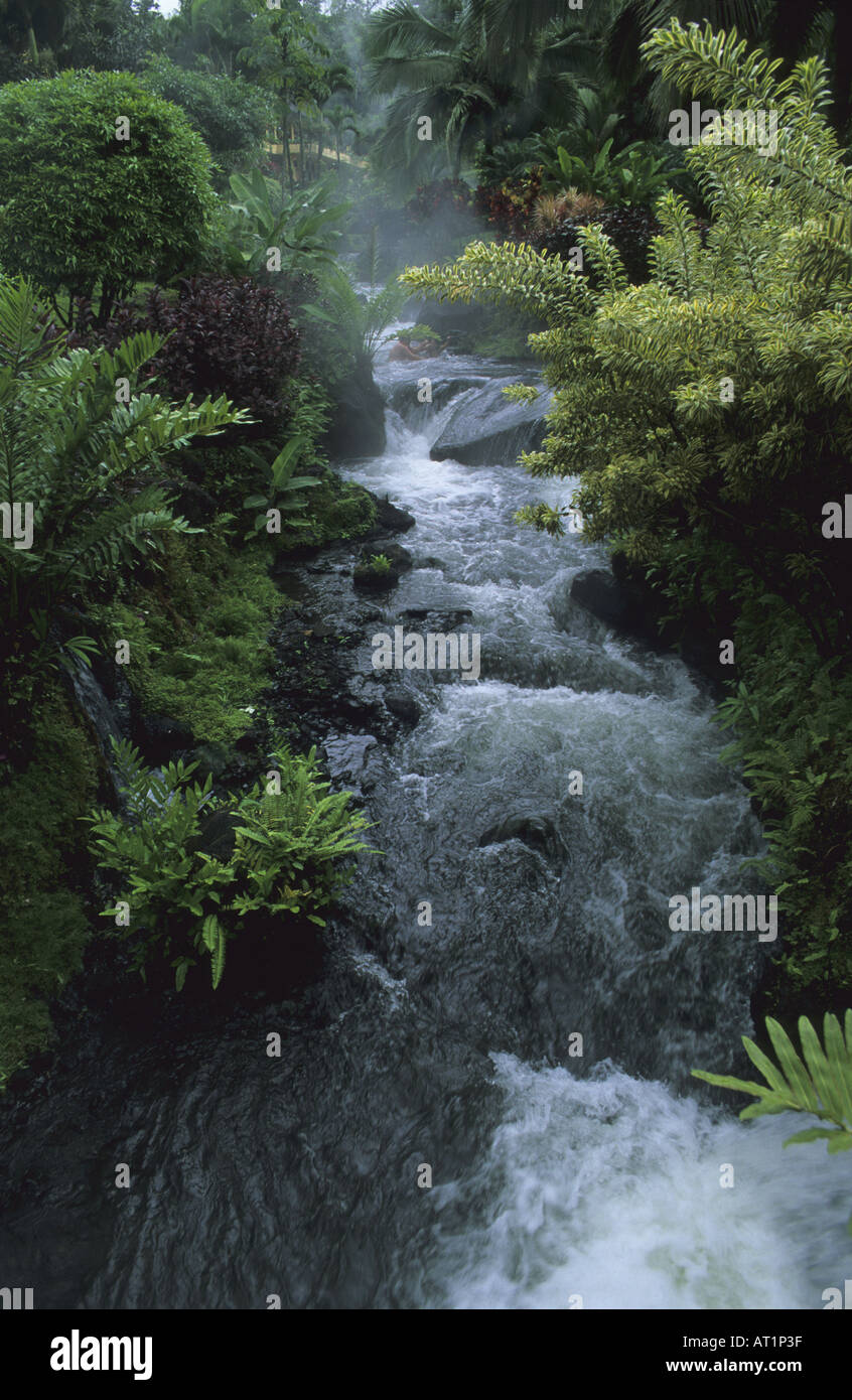 Traveling to arenal volcano hi-res stock photography and images - Alamy