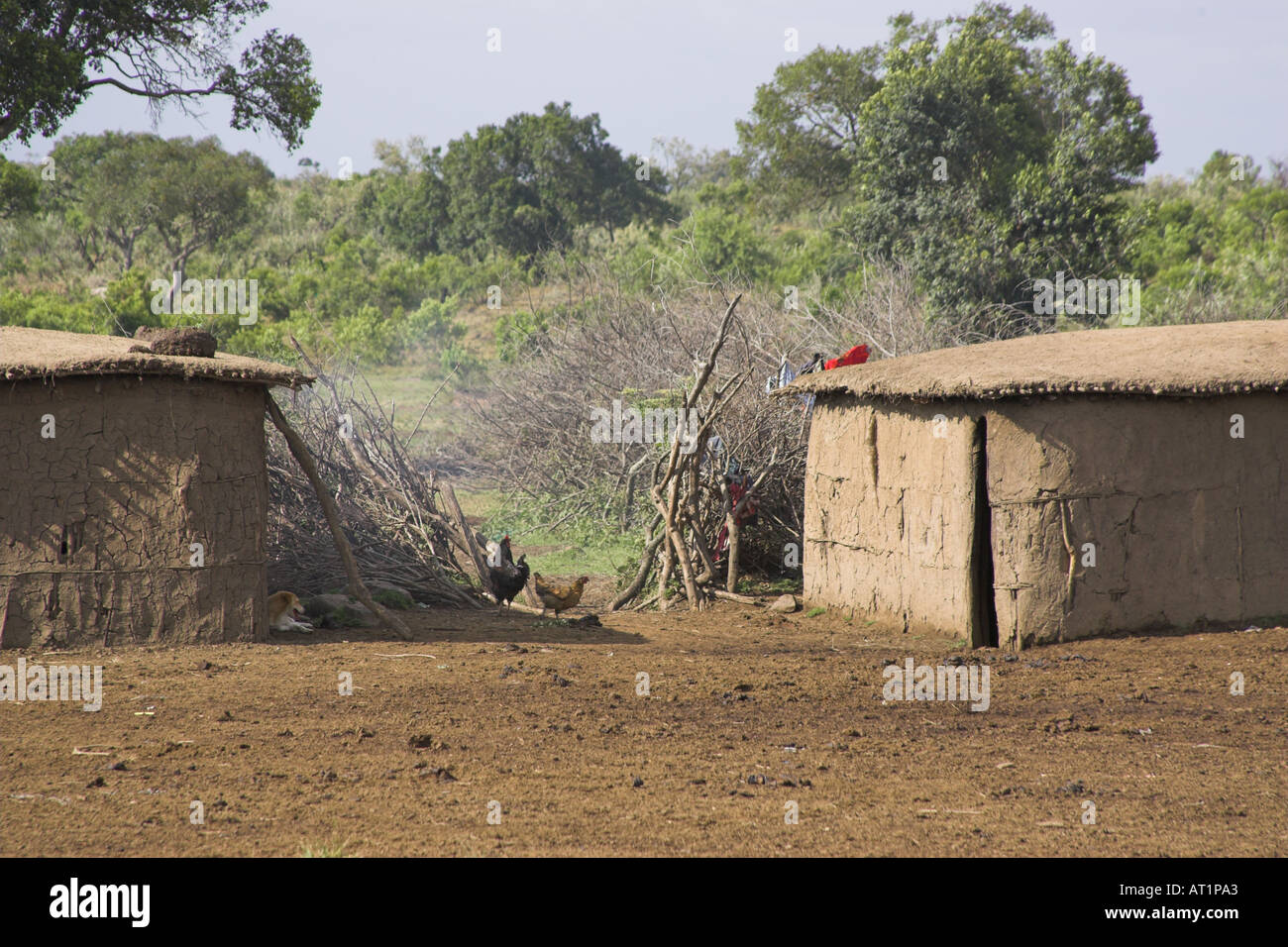 Maasai village buildings Masai Mara Stock Photo - Alamy