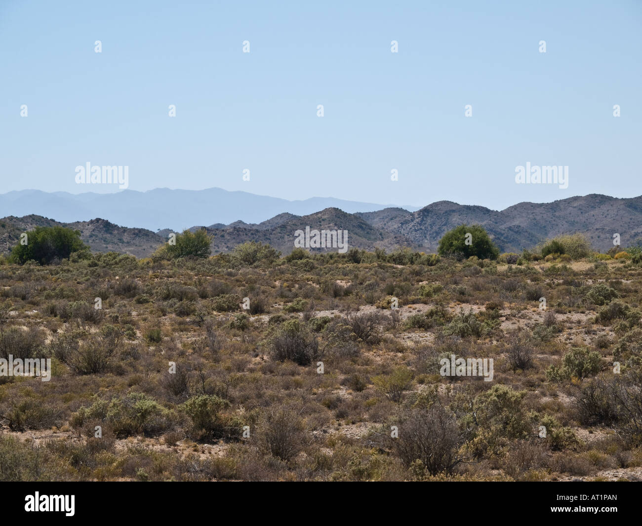 Klein Karoo Western Cape South Africa desert Stock Photo - Alamy