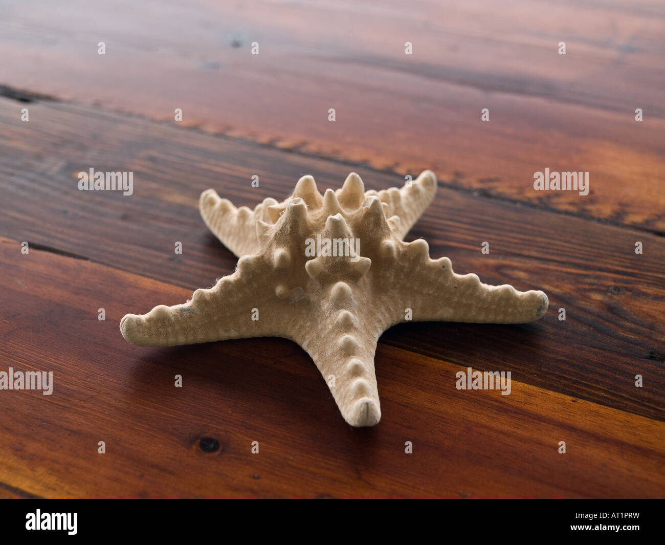 Ribbed body hi-res stock photography and images - Alamy