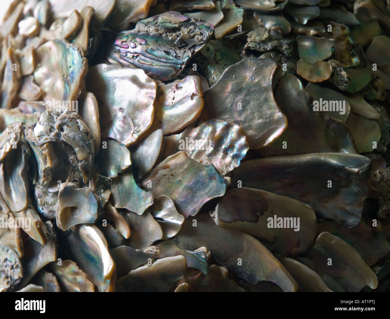 Mother of pearl texture hi-res stock photography and images - Alamy