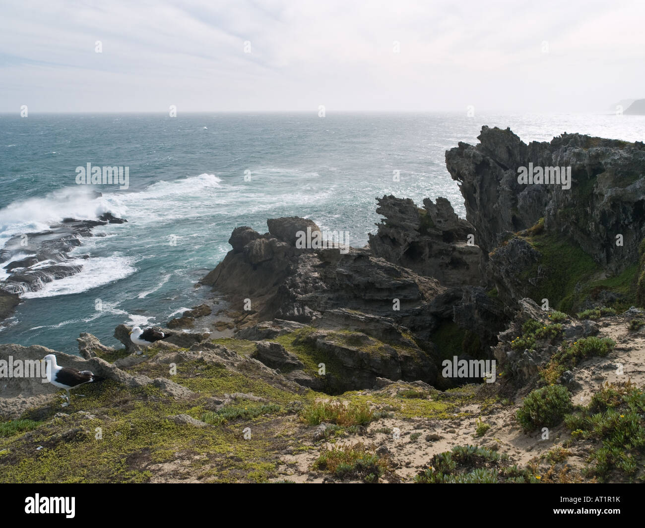 Robberg national park hi-res stock photography and images - Alamy