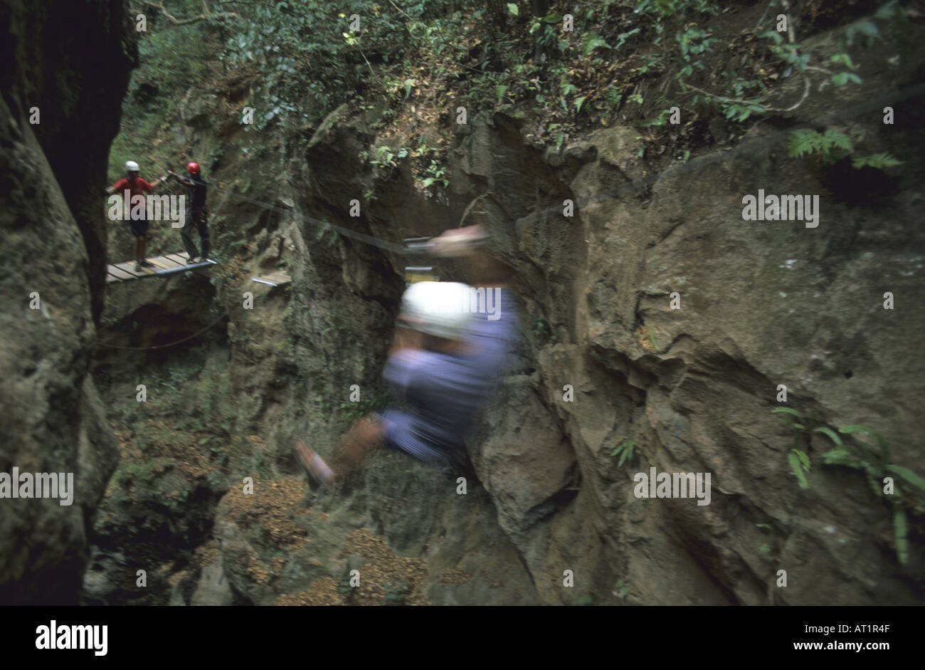 Canopy at Rincon de la Vieja volcano Costa Rica Stock Photo - Alamy