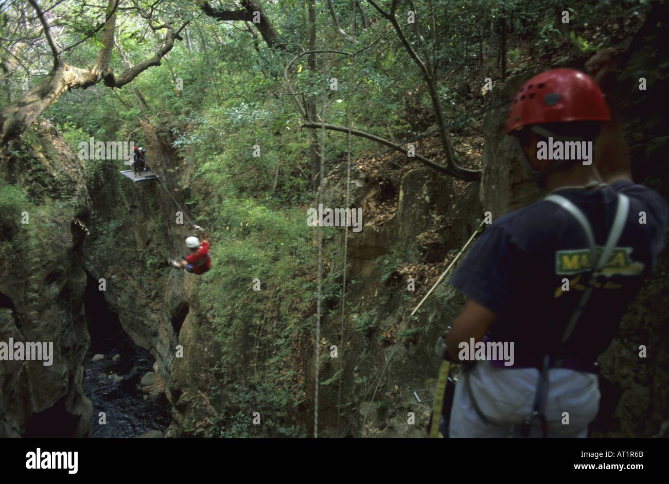 Canopy at Rincon de la Vieja volcano Costa Rica Stock Photo - Alamy