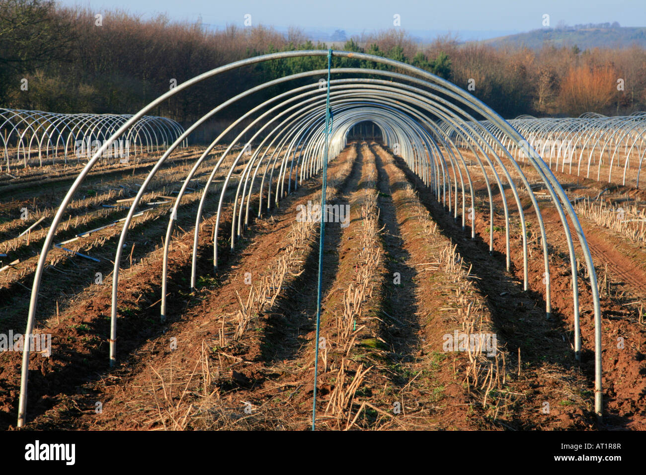 metal hoop field patterns for poly-tunnel plant protection ...