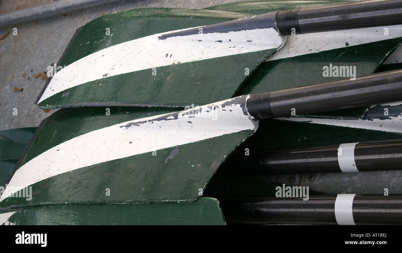 Oars Bristol Rowing club Stock Photo - Alamy