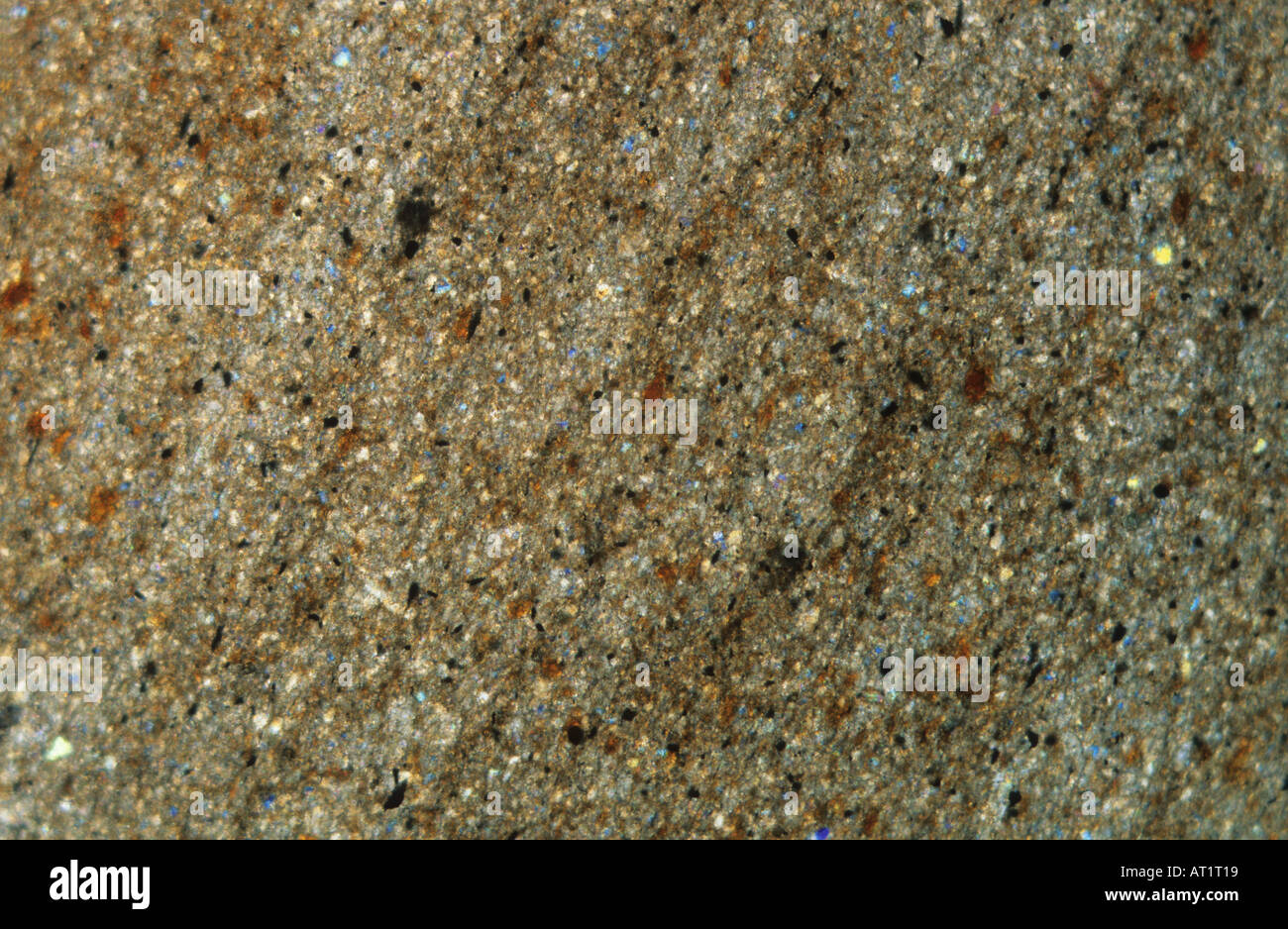 Slate Metamorphic rock Pyrenees Andorra Petrographic microscope Stock ...