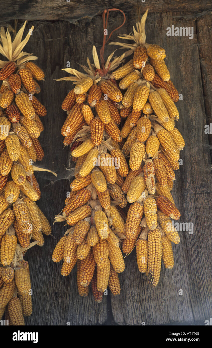 Crunchy exterior hi-res stock photography and images - Alamy