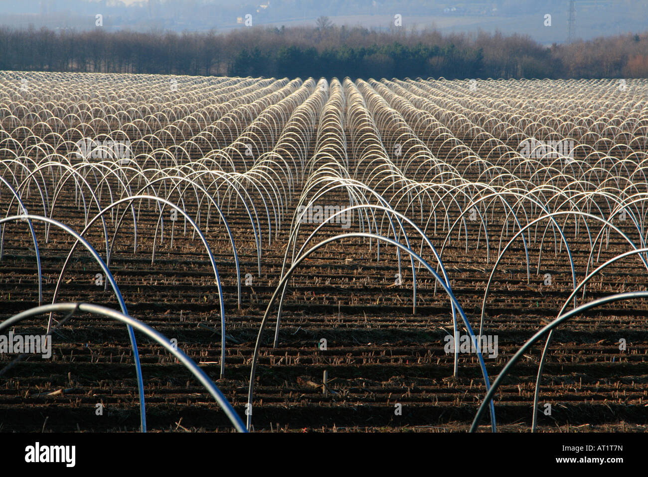 Intensive farming green houses hi-res stock photography and images - Alamy