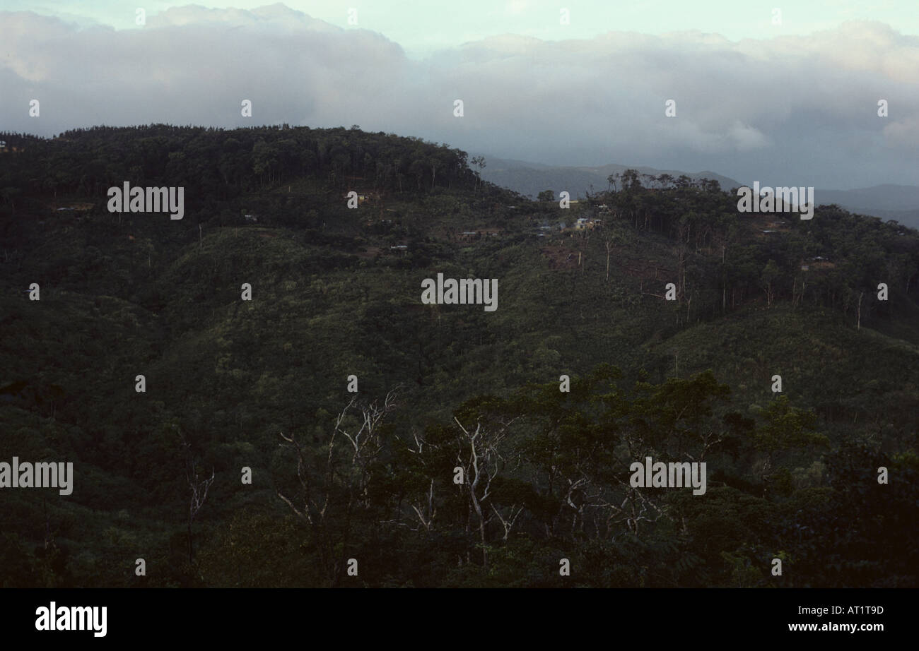 PANAMA Chiriqui Highlands cloud forest deforestation Stock Photo - Alamy
