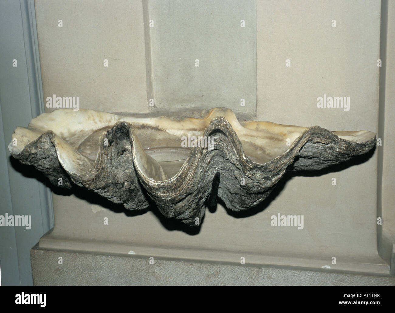 Holy water font hi-res stock photography and images - Alamy