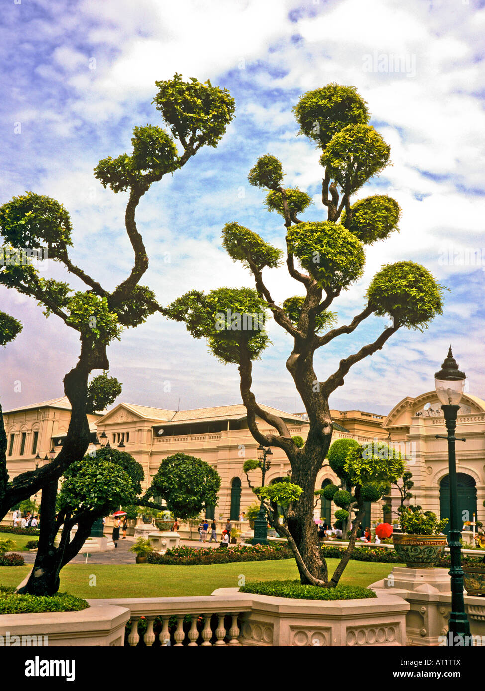 Unusual clipped trees in a garden in Bangkok Thailand Asia Stock Photo ...
