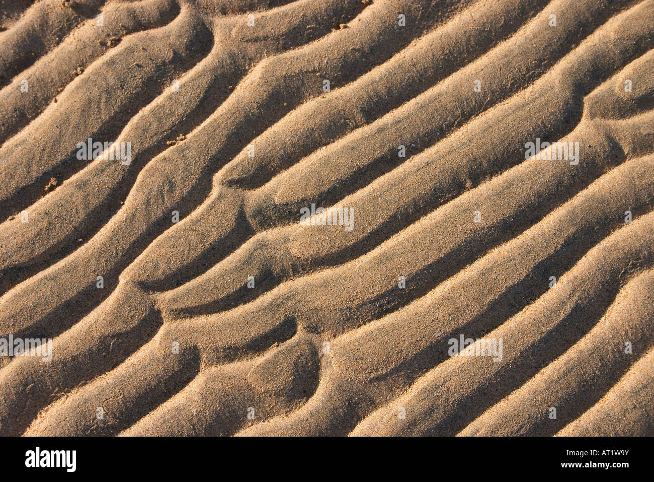 Pattern in the sand Stock Photo - Alamy