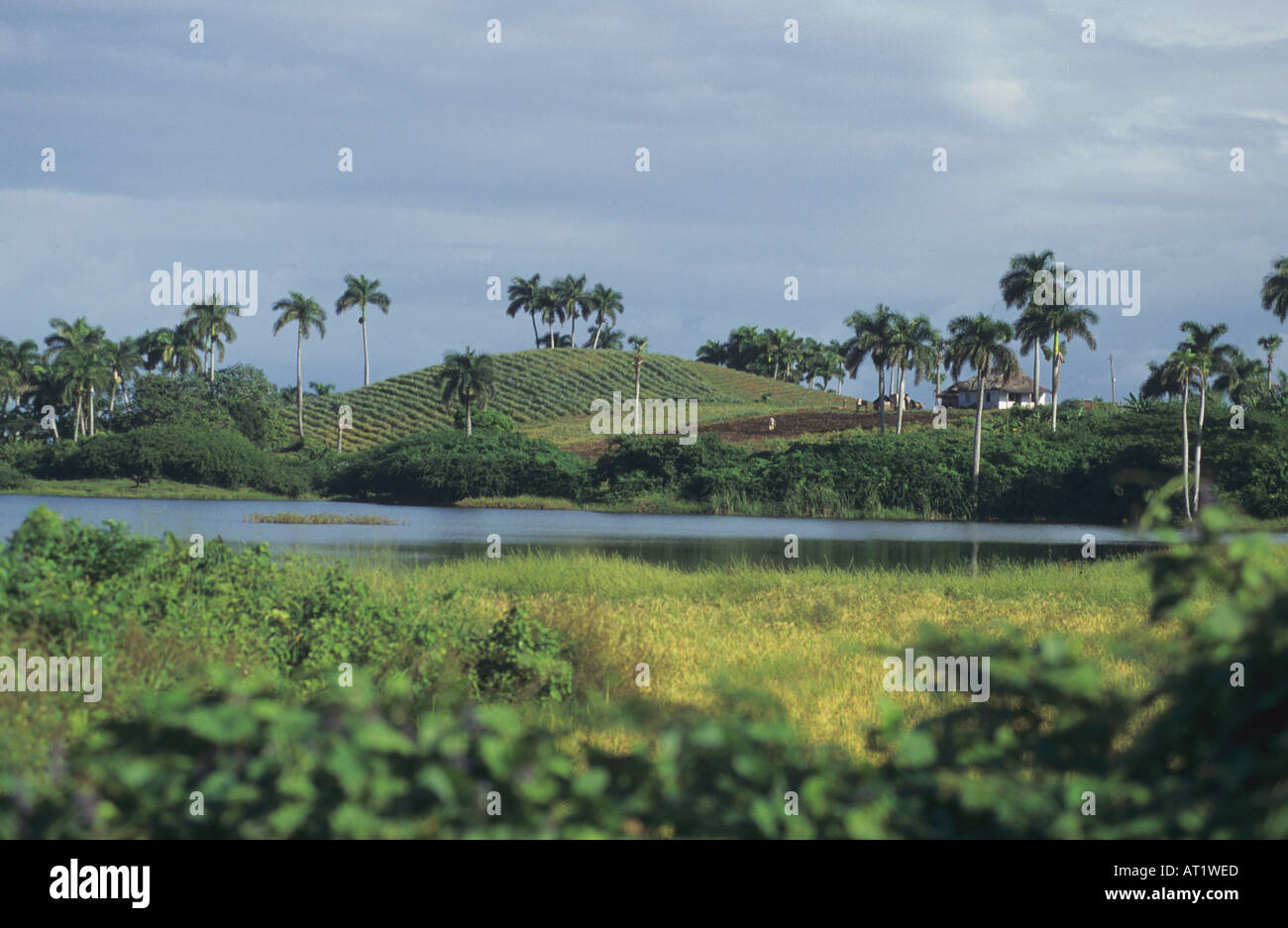 Caribbeanl agoon hi-res stock photography and images - Alamy