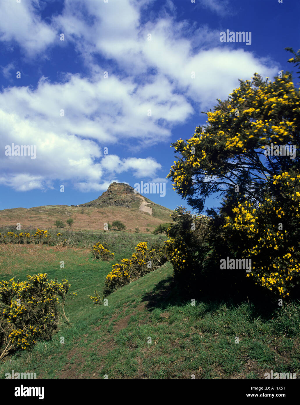Roseberry Topping in North Yorkshire Moors National Park and part of ...