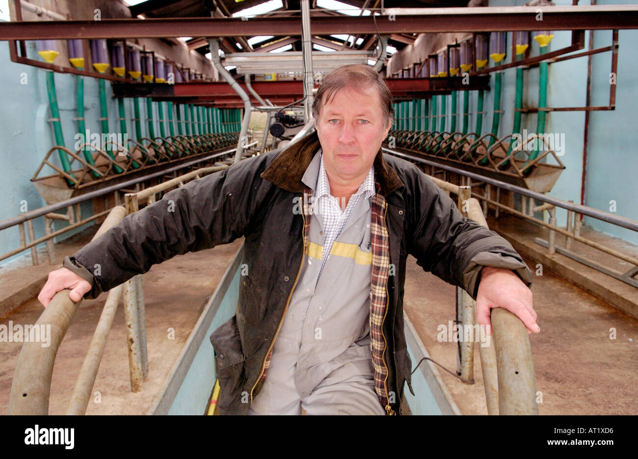 Empty Milking Parlor High Resolution Stock Photography and Images - Alamy