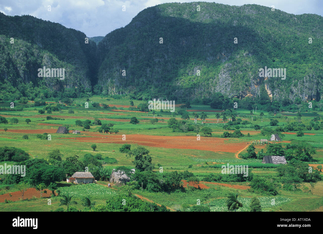 Viñales Valley National Park Pinar del Rio Cuba Stock Photo - Alamy