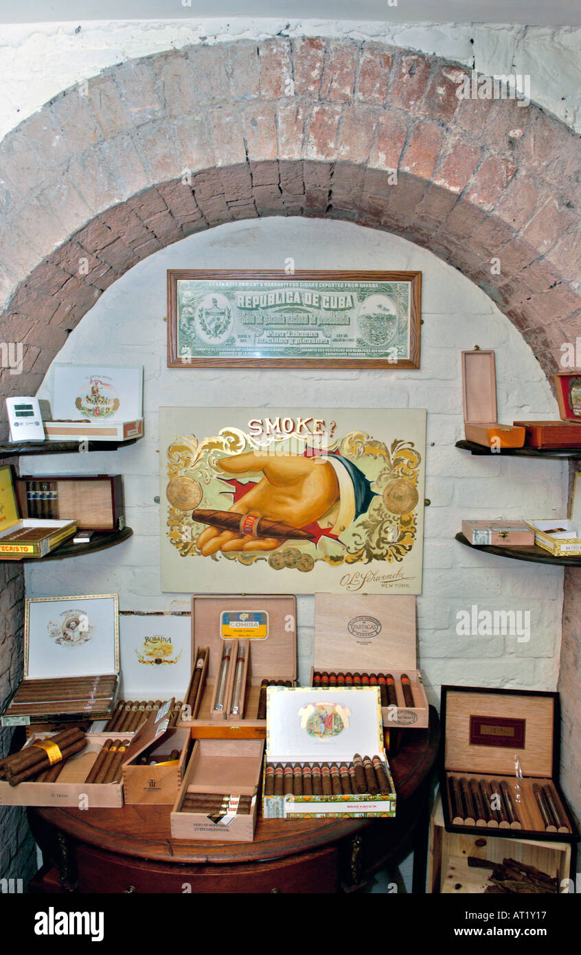 Bundles of cigars in the humidor room with constant humidity and ...