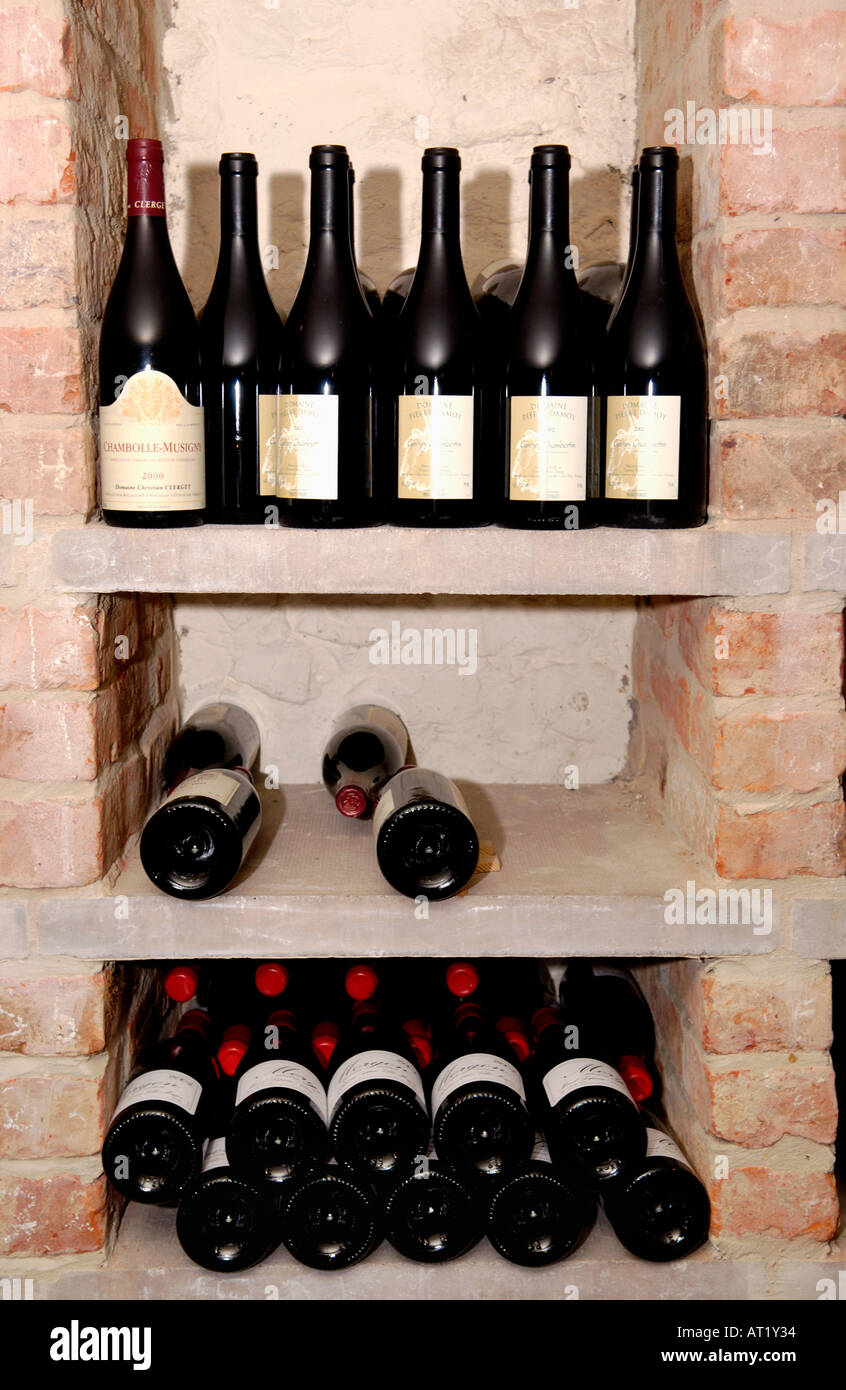 Wine cellar of Hotel du Vin Bristol England UK Stock Photo - Alamy