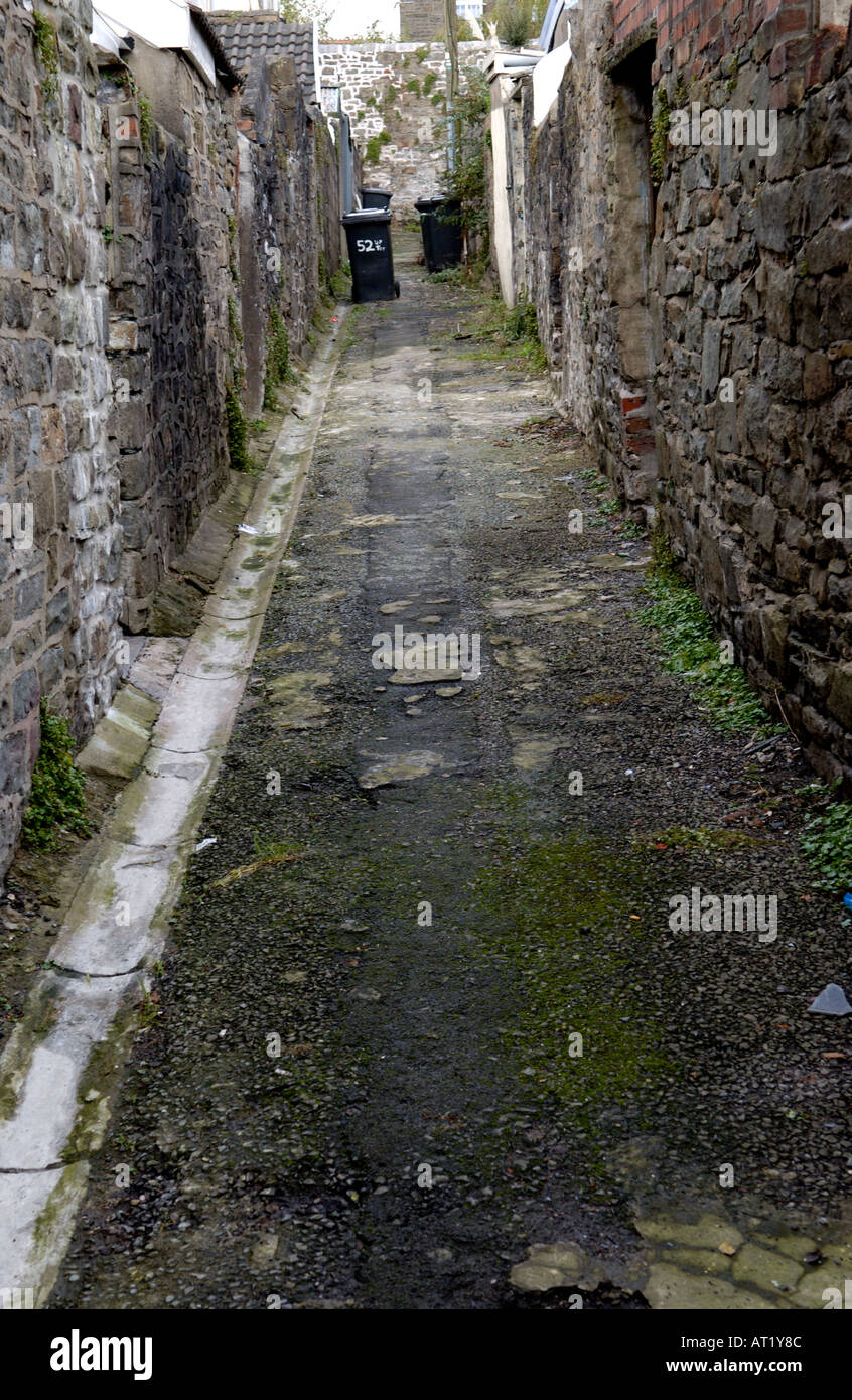 Rear lane with stone walls between Victorian terraced houses in Merthyr ...