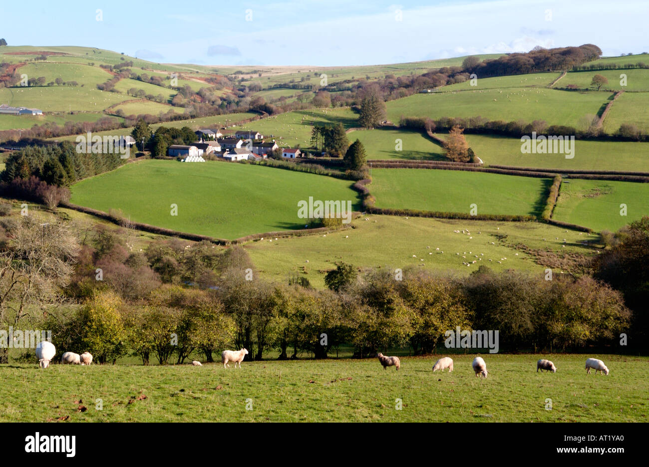 View over the remote Welsh village of Upper Chapel surrounded by farms ...