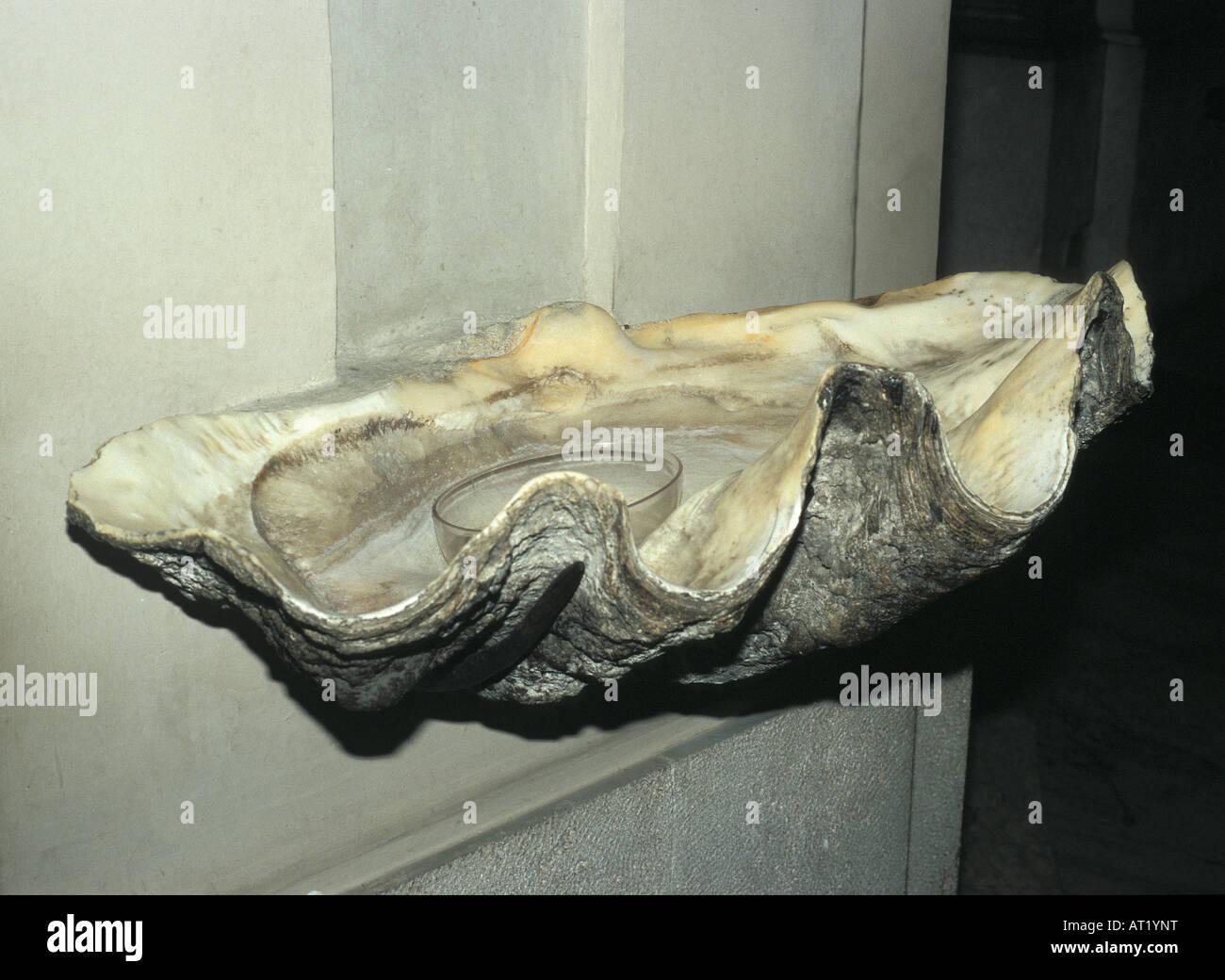 Holy Font High Resolution Stock Photography and Images - Alamy