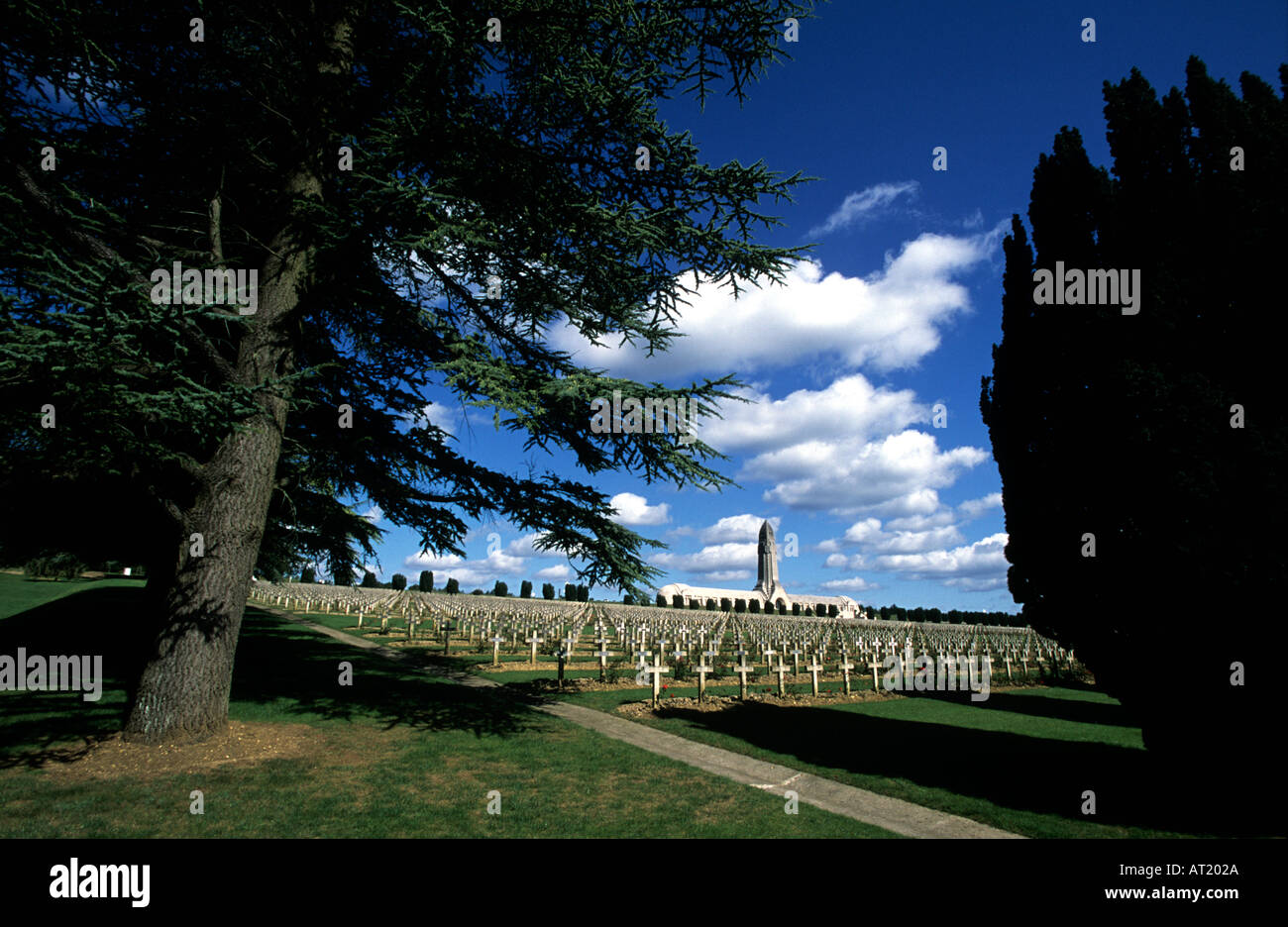 Battle of verdun bones hi-res stock photography and images - Alamy