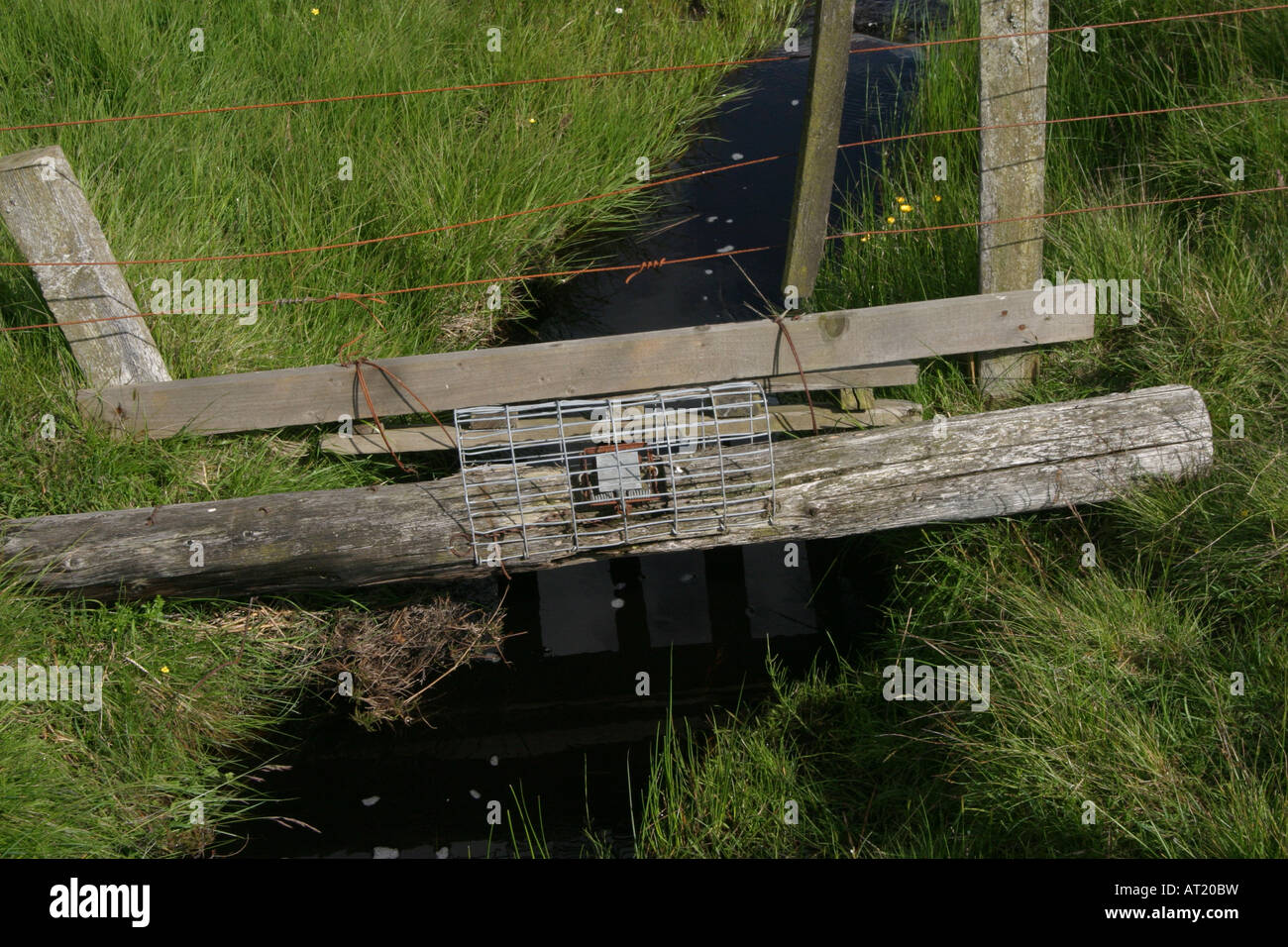 Snare traps hi-res stock photography and images - Alamy