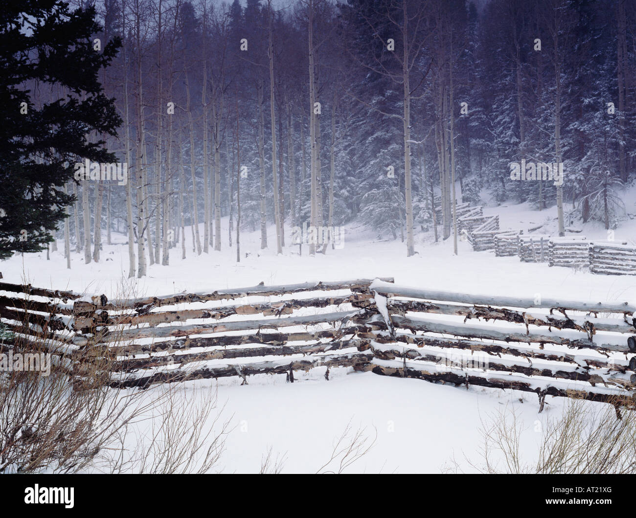 Dixie national forest utah snow hi-res stock photography and images - Alamy