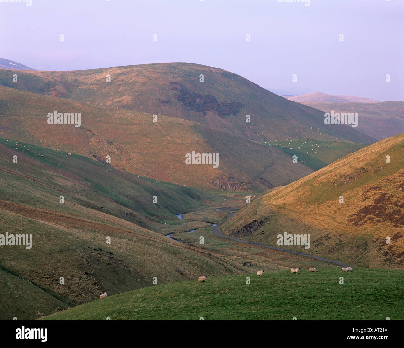 The Cheviot Hills in Upper Coquetdale in Northumberland National Park ...