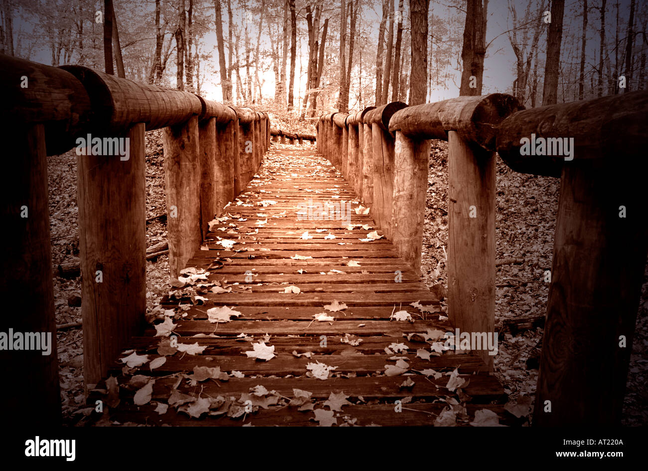 Wood bridge in woods hi-res stock photography and images - Alamy