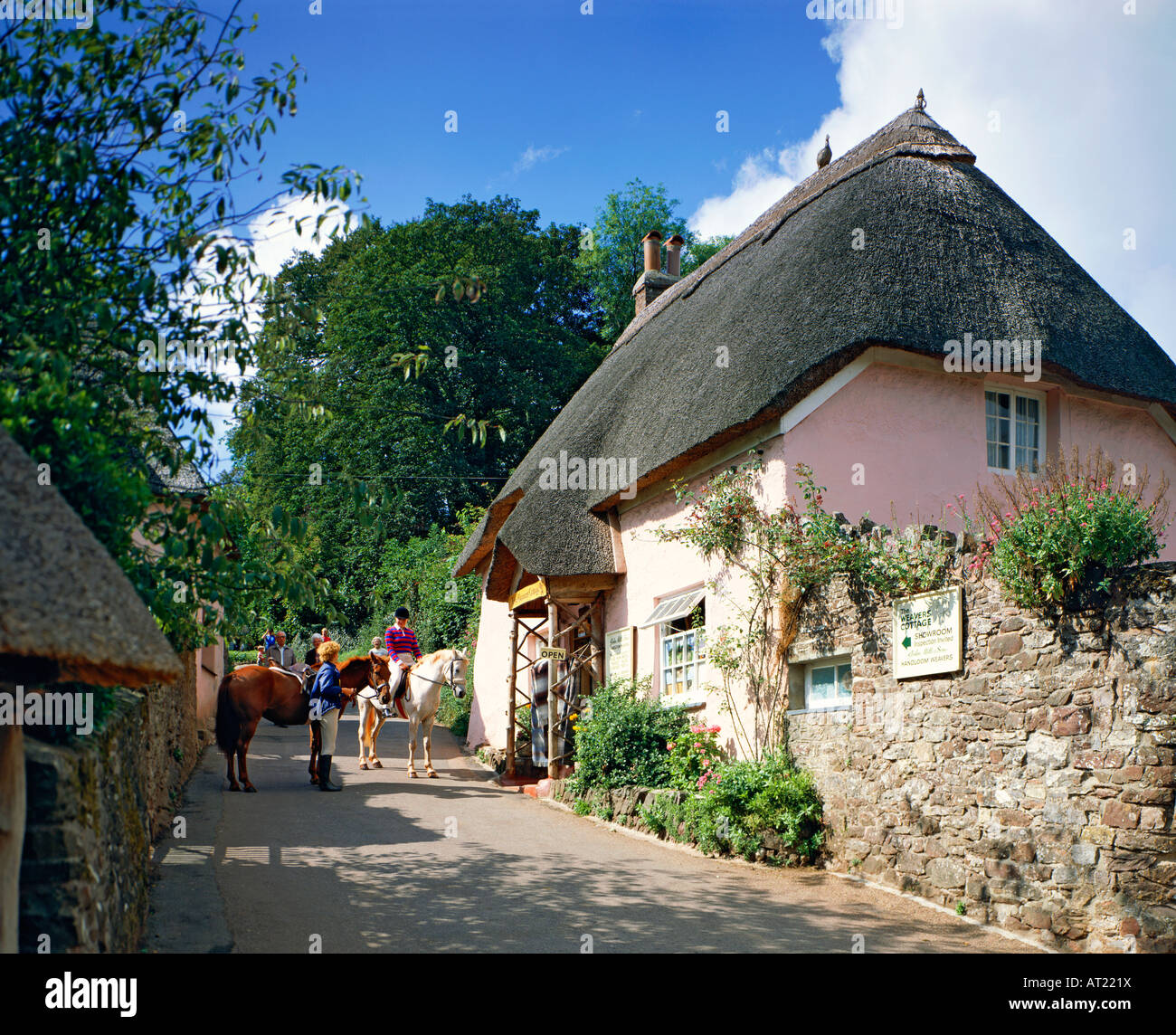 GB DEVON COCKINGTON Stock Photo - Alamy