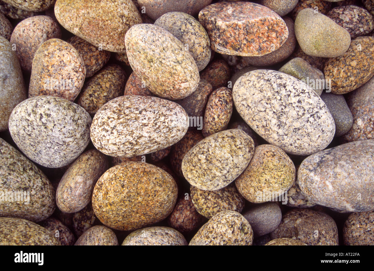 Faun british isles hi-res stock photography and images - Alamy