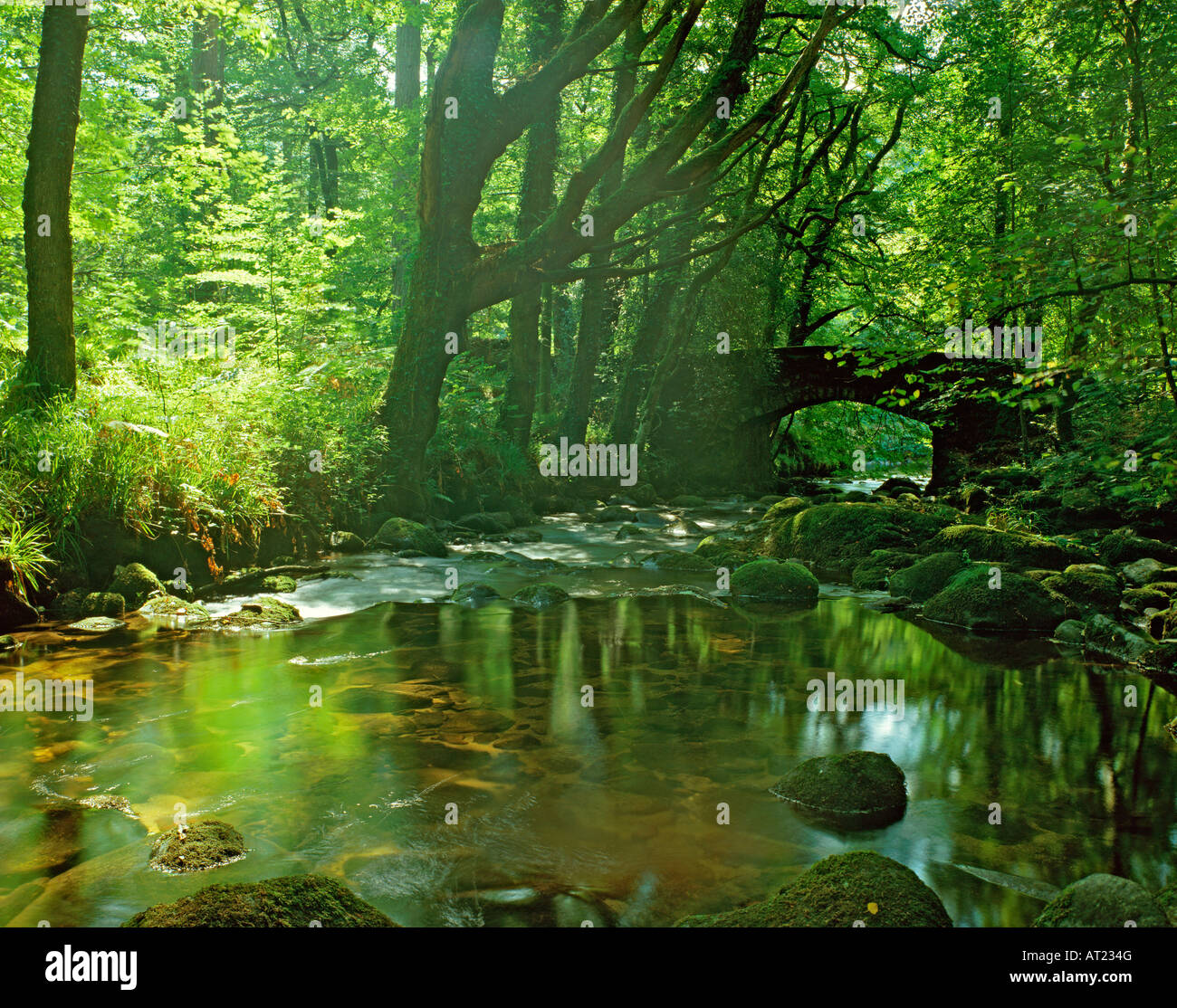 GB DEVON DARTMOOR RIVER WEBURN SPITCHWICK COMMON Stock Photo - Alamy