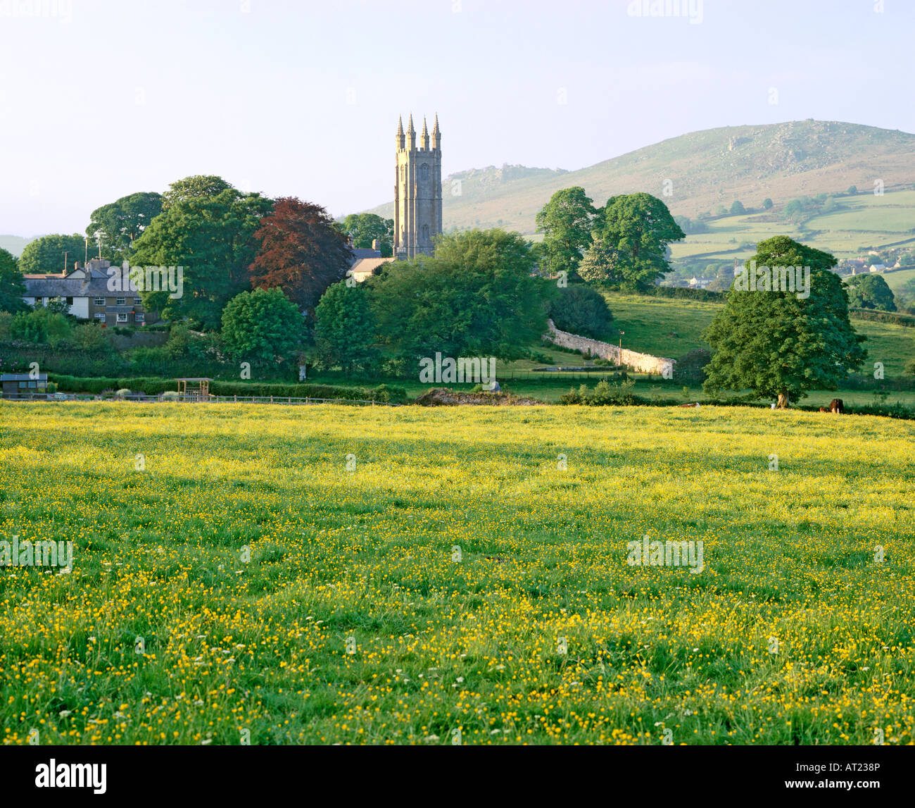 GB DEVON DARTMOOR NATIONAL PARK WIDECOMBE IN THE MOOR Stock Photo - Alamy