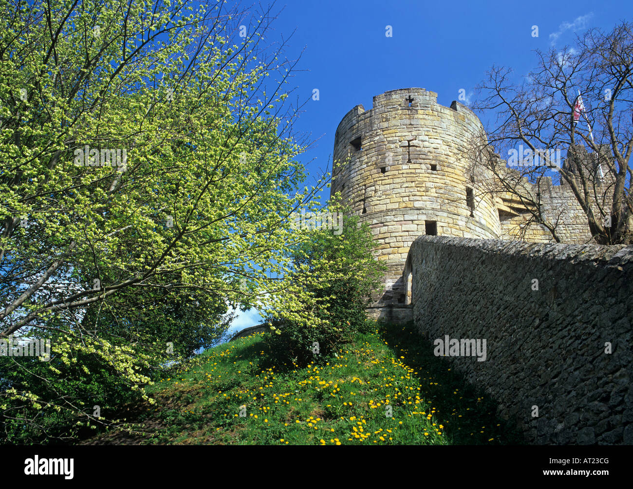 Percy castle hi-res stock photography and images - Alamy