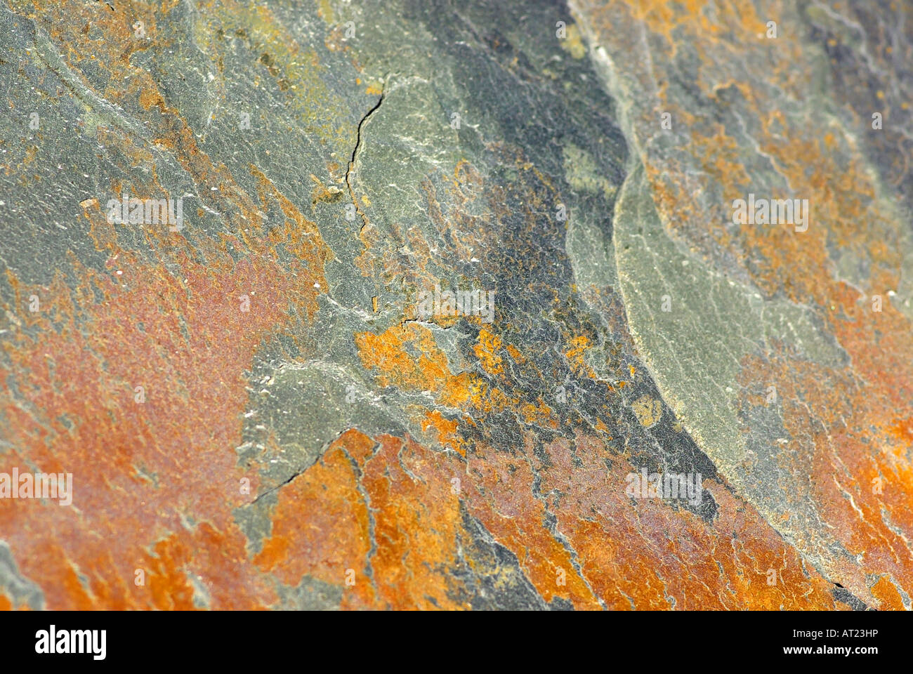 Closeup of a flagstone of shale Stock Photo - Alamy