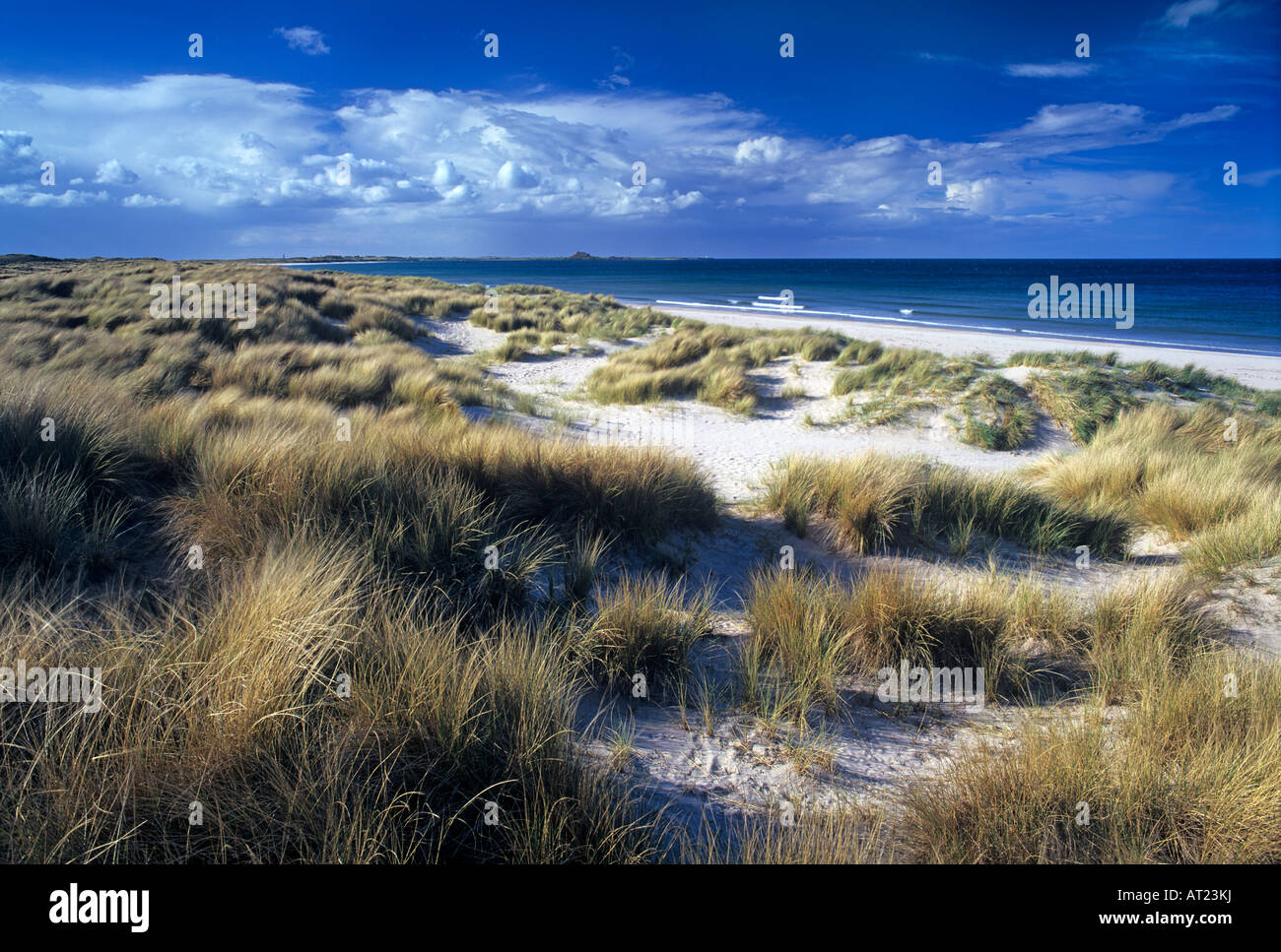 Ross back sands hi-res stock photography and images - Alamy